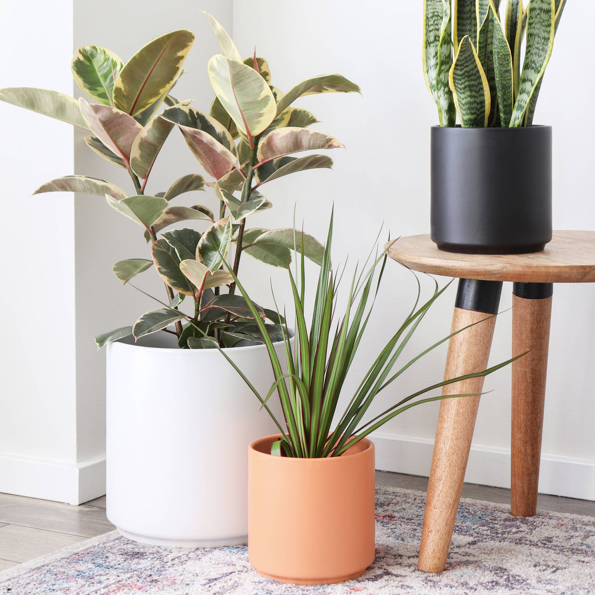 Peach & Pebble – Yamagami's Garden Center